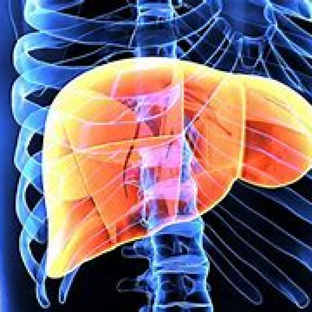 Your Liver - Factory and Filtration Plant - Hashem